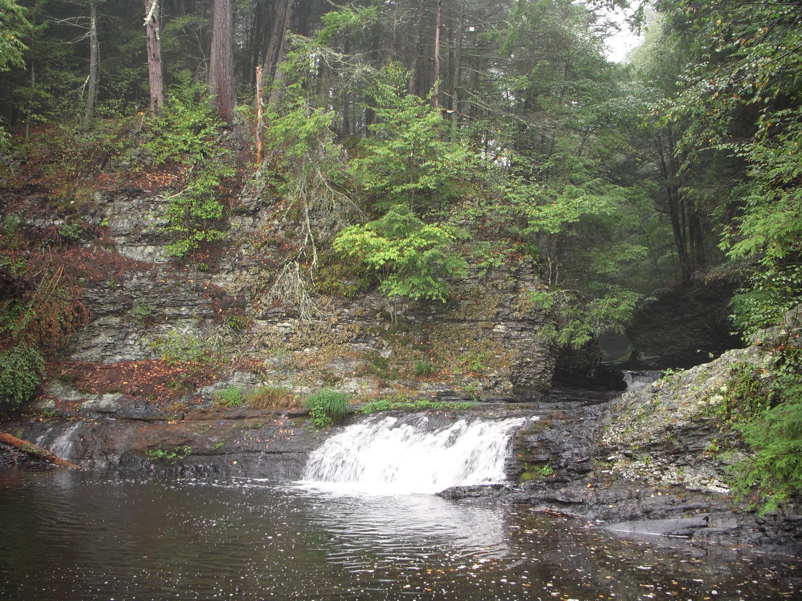 Hill Slug Chronicles: Home Away from Home