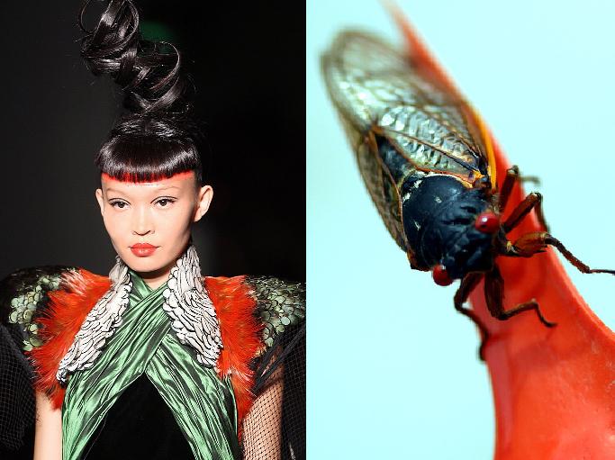 .: TRICK OR TREAT: RAVE INSECT