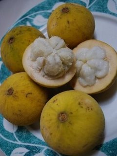 Me: Jeruk Buah Sentul