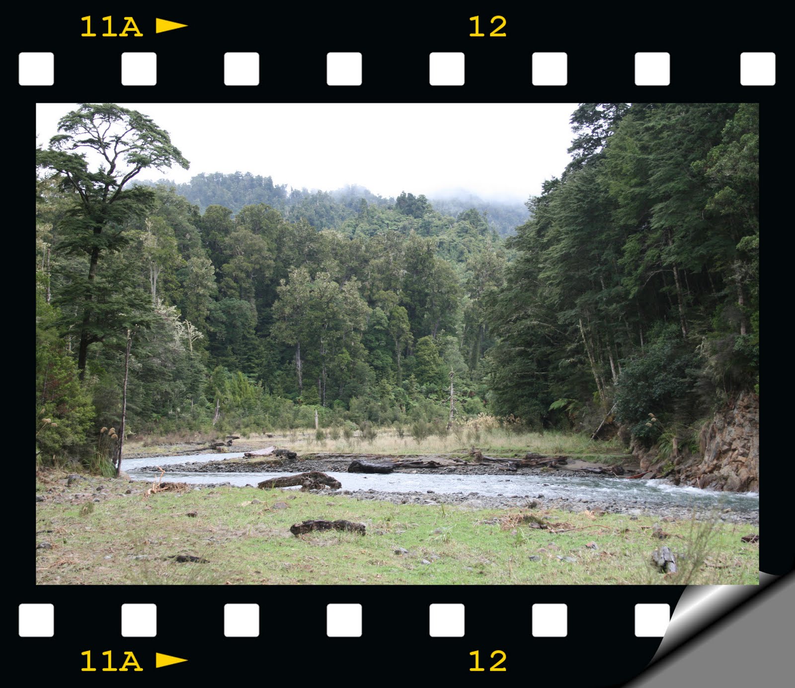 TANE-NUI-A-RANGI: THE BEGINNING