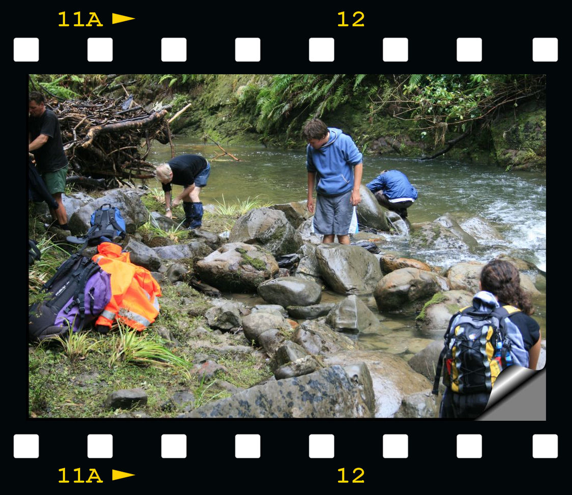 TANE-NUI-A-RANGI: THE BEGINNING