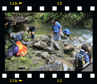 TANE-NUI-A-RANGI: THE BEGINNING