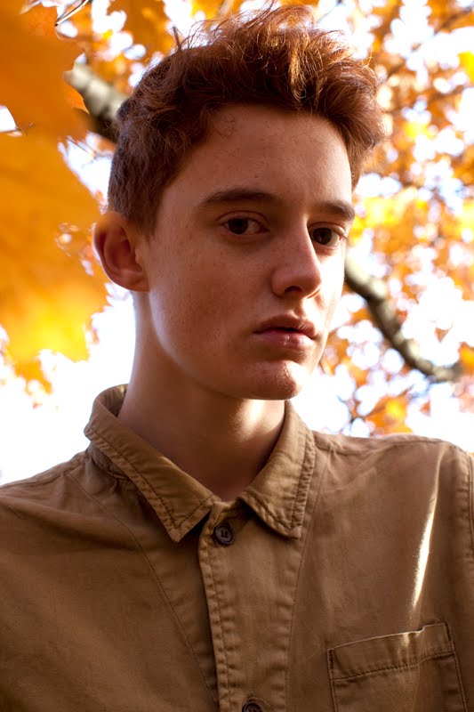 Nob: Greg Chester by Tommaso Gesuato