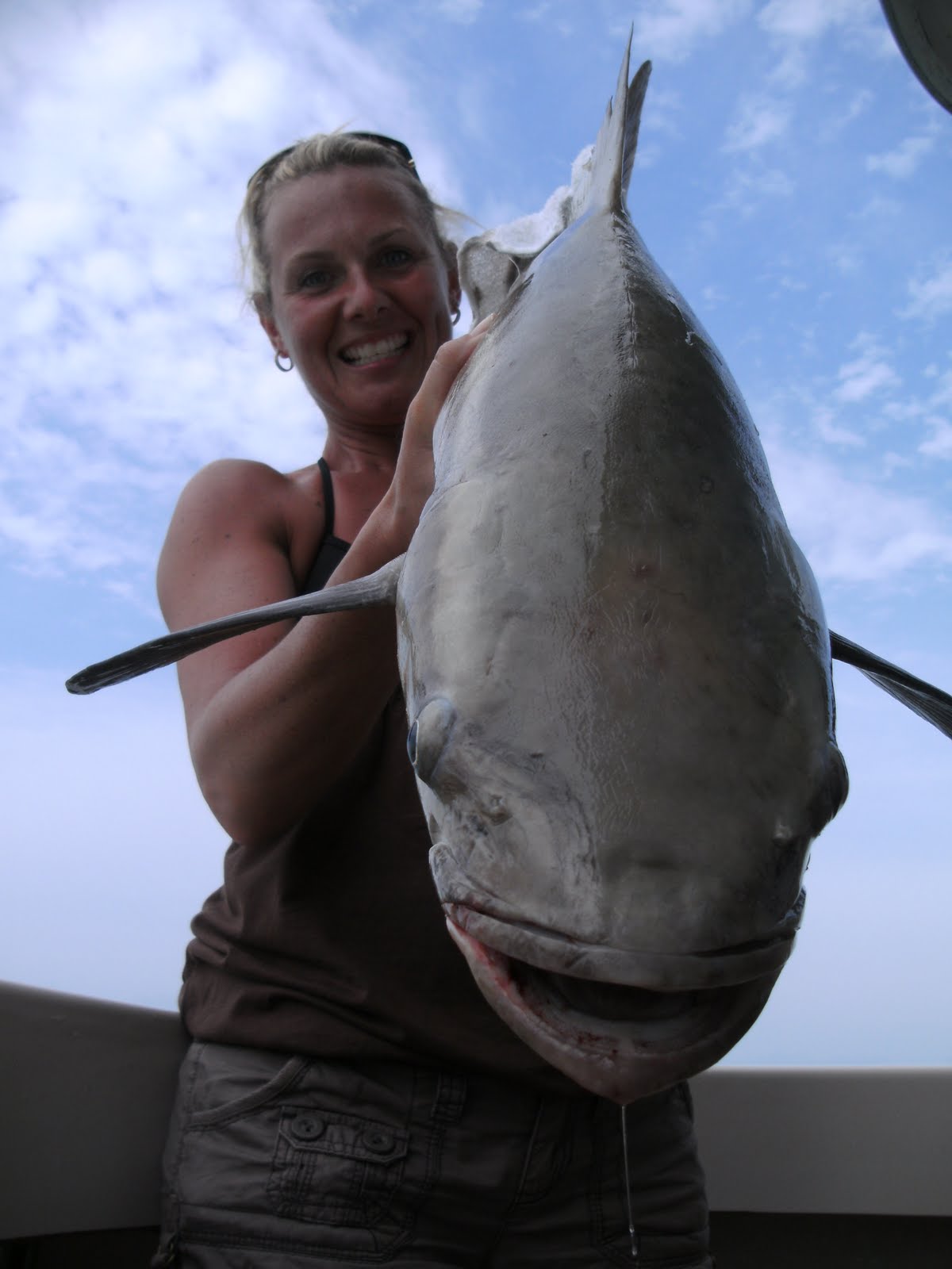 Snorkel Fish Combo, Key West: huge cobia tons of gaint fish caught ...