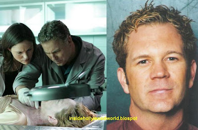 HOLLYWOOD WORLD - CULTURA POP: de la televisión a la realidad