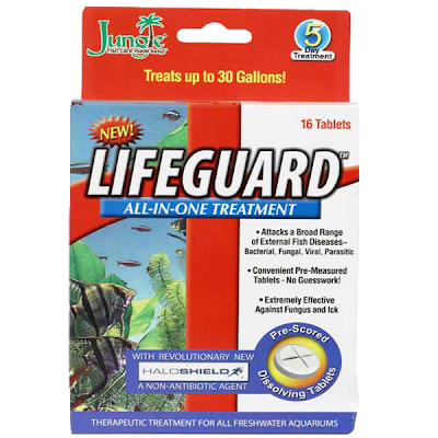 Body Fungus Archives - Goldfish Care Information Diseases & Treatments