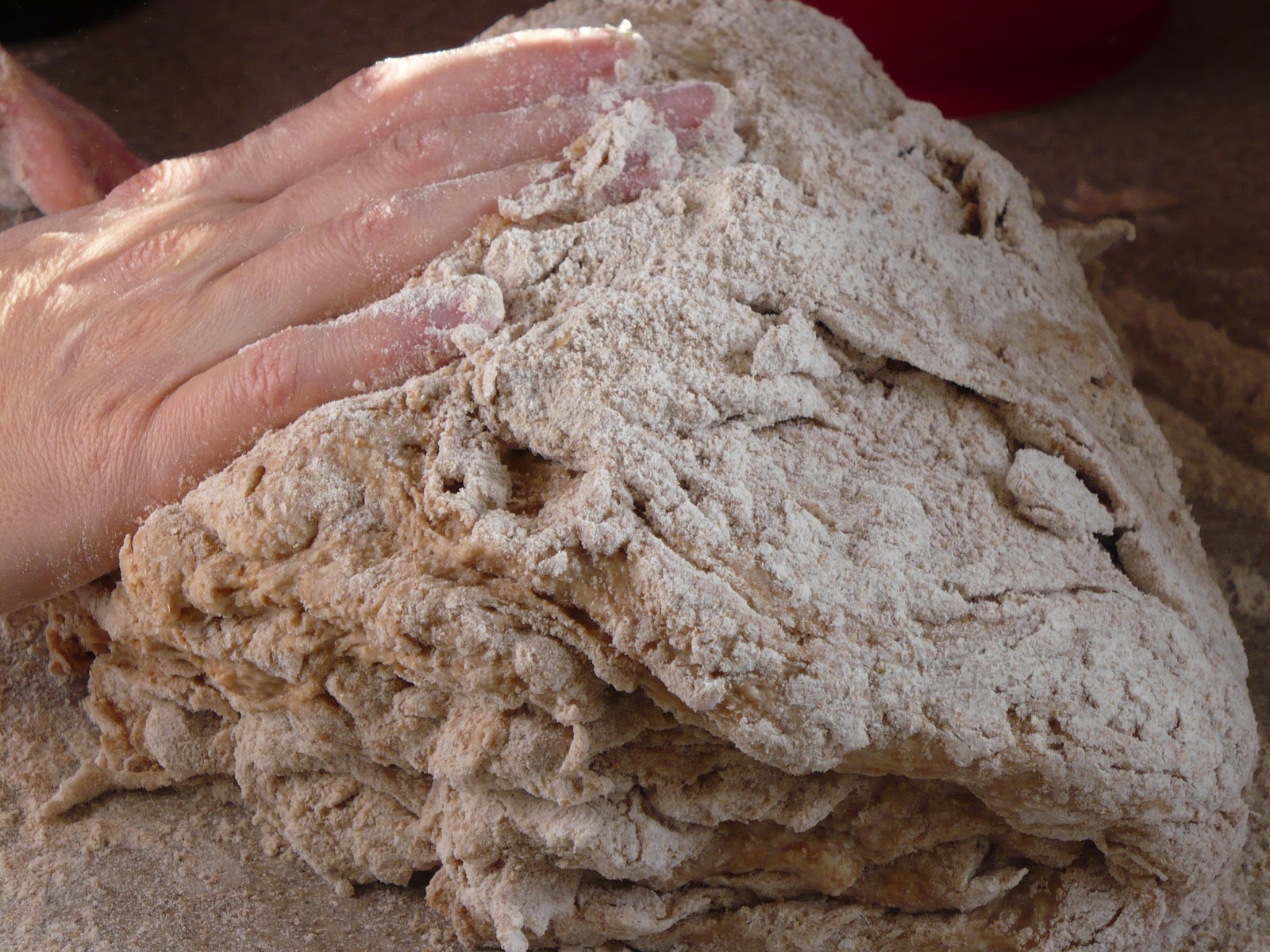 The Tasty Cheapskate: 100% Whole Wheat Bread--Simple, Cheap, Homemade ...