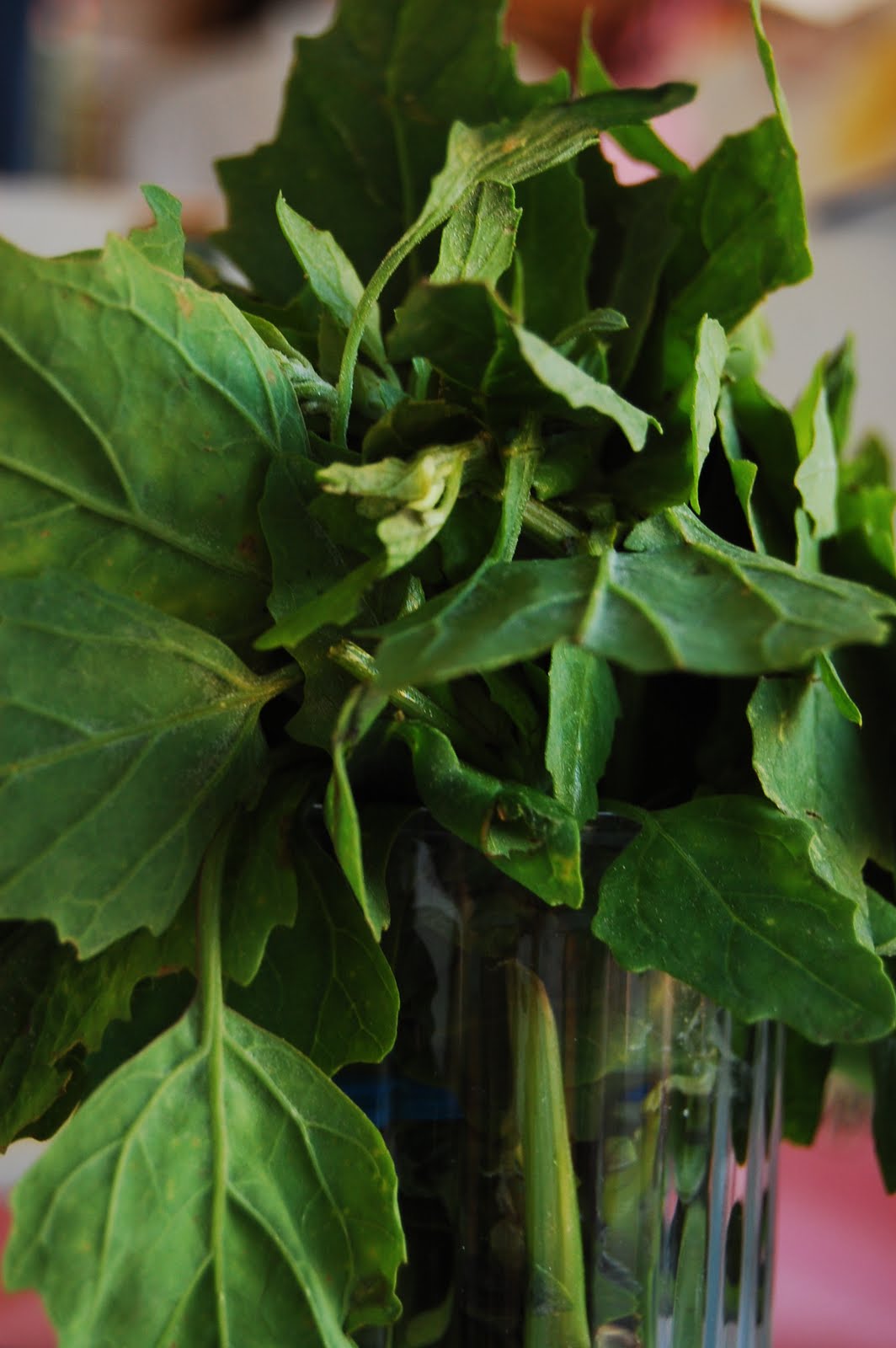 Cuidar tu salud también es delicioso. Temas relacionados a la cocina ...