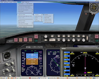 Comandante Virtual Alcebíades: FSX Tradução do Inglês para o Português