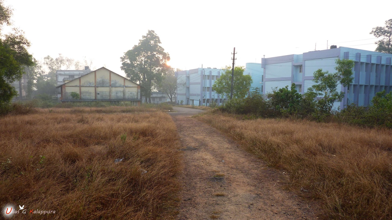A tribute to CUSAT (Campus photos)