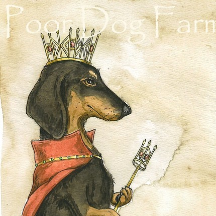 The Pet Museum: the lives times art and history of our pets: featured ...