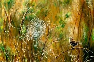 Alan M Hunt Wildlife Artist Original Paintings: Wildlife Artist Alan M Hunt