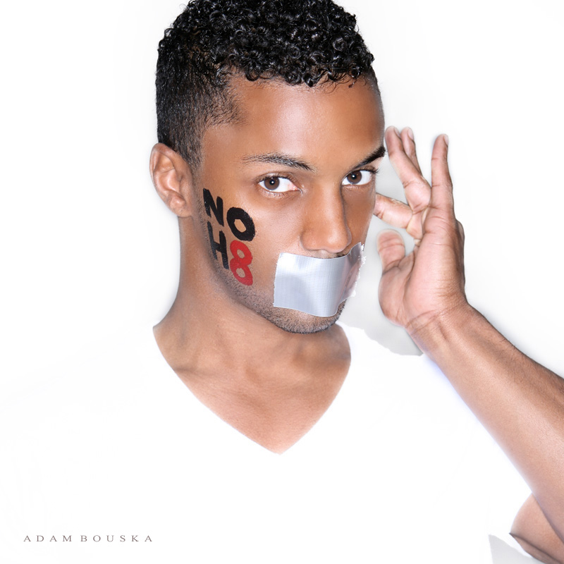 I Want Fashion... And Prozac!: Adam Bouska and The NOH8 Campaign