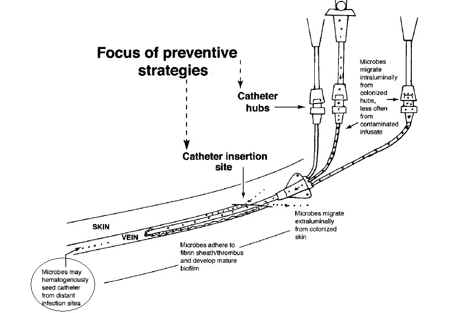 The CDC has a brand new blog
