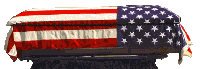 Sean Linnane: THE FLAG-DRAPED COFFIN