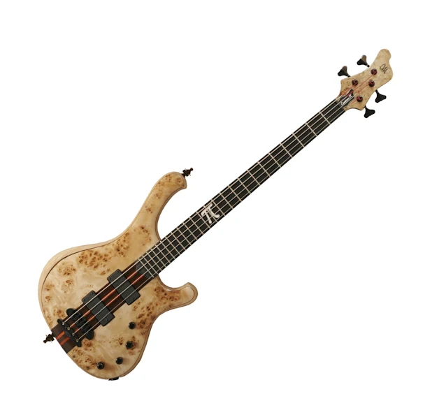 Mayones Pi4 - Wojtek Pilichowski