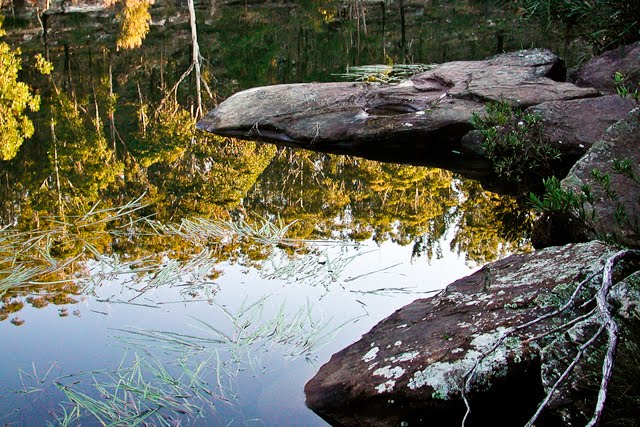 Photography on the rocks: Georges River