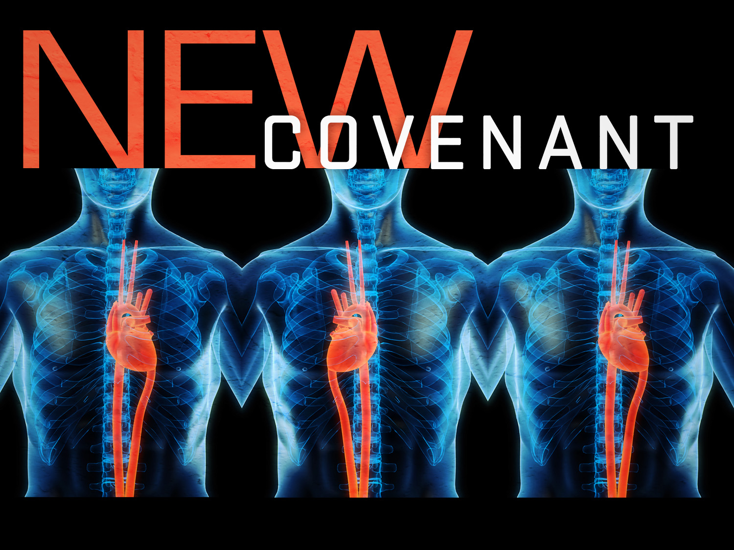 Reading Through the New Testament in 2009: November 2009