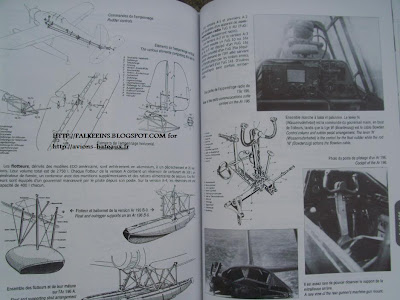 FalkeEins - the Luftwaffe blog: Luftwaffe Seaplanes (3) Arado Ar 196 ...