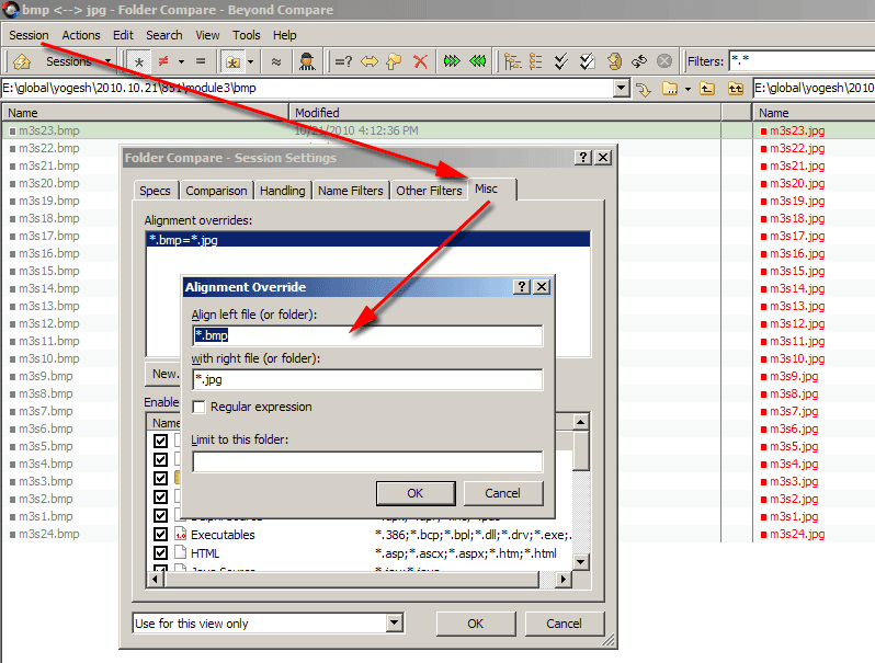 Beyound Compare : Ignore File Extension option