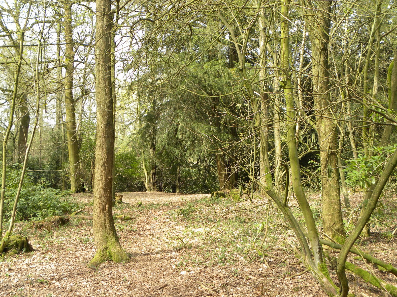 Ruta's Ramblings: Back To Keele.