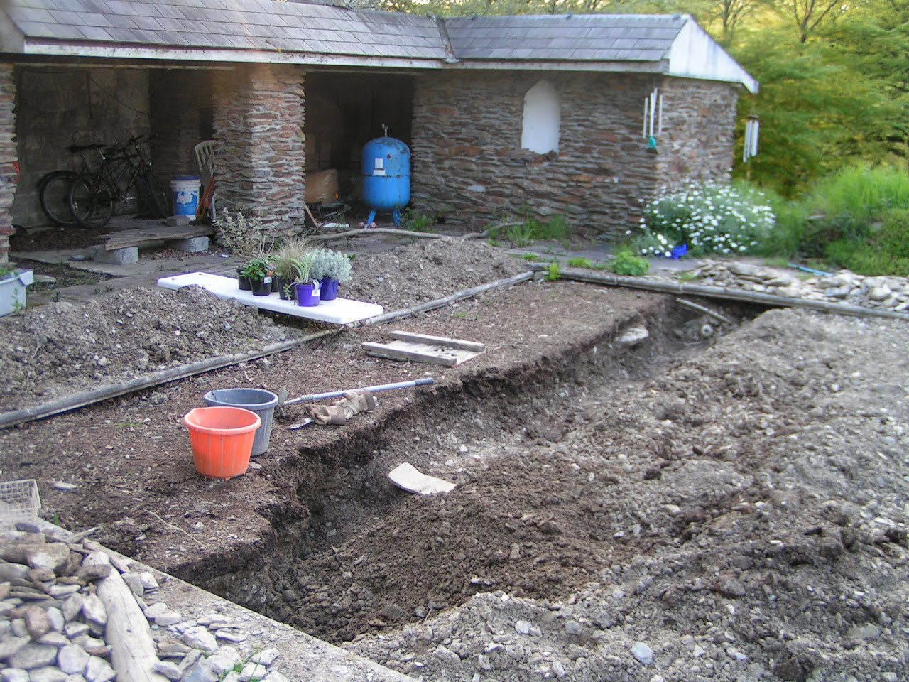 Ruta's Ramblings: The Scree Garden.