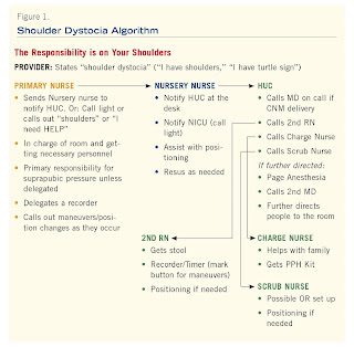 A Daily Life in High Risk Labor and Delivery