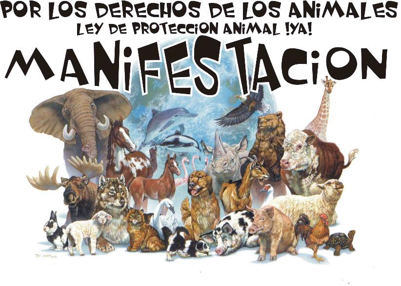 No al maltrato animal: Derechos de los animales