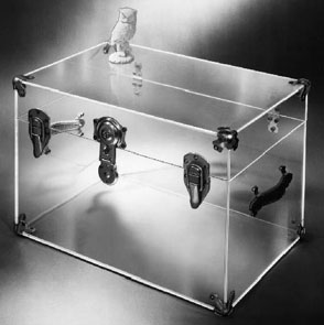 Tonic Home Lucite Trunk - copycatchic