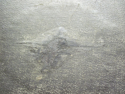 Fine Book Binding and Restoration: Leather Conservation Reback