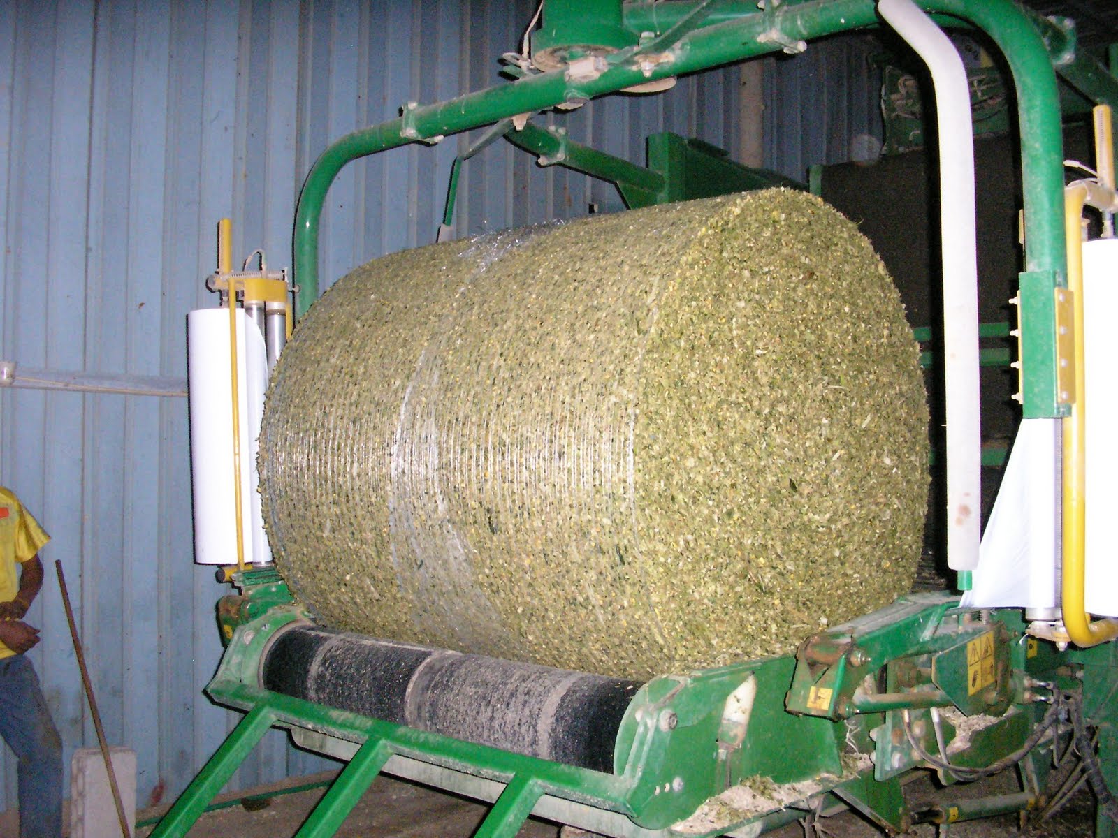 dairyspecialistinrussia: Corn silage production and marketing in Jordan
