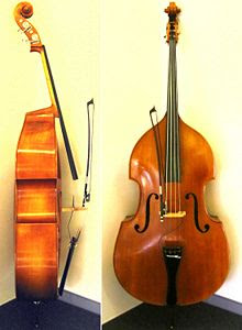 Voilin: Violin family