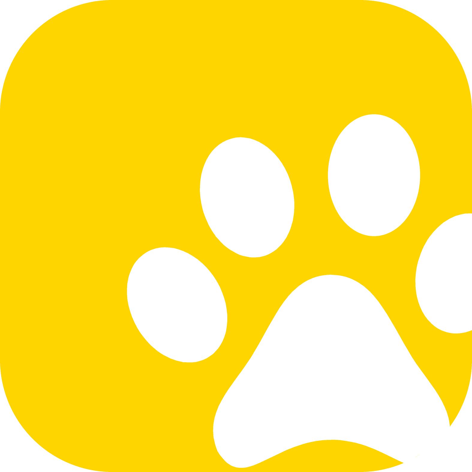 Agrupamento 304 Sequeira: Lobitos