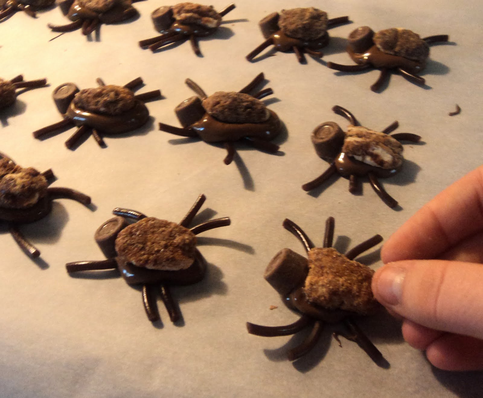 ...Make It With Me: Chocolate Cockroaches.