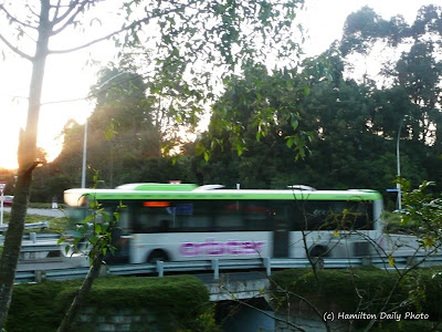 Hamilton Daily Photo: Orbiter bus