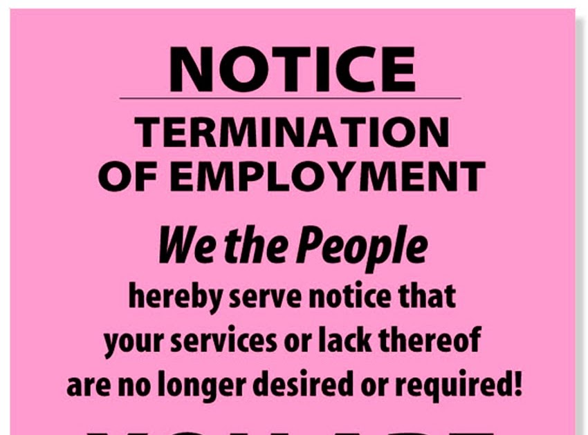 Congress, You're Fired!: PINK SLIP YOUR POLITICIAN BEFORE NOV. 2ND!