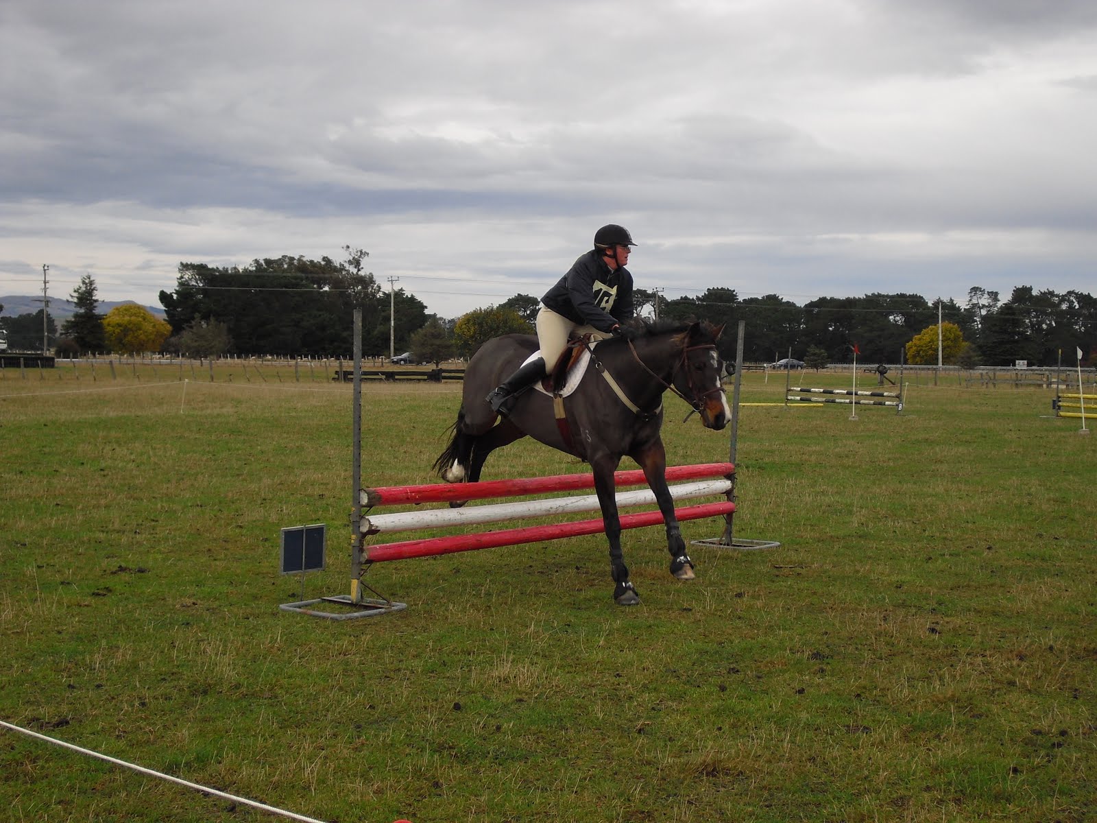 I Will Jump Sweet Jumps- A Horse Blog: Hunter trials