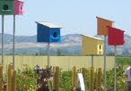 Bay Area Traveler: In Sonoma, a collection of gardens not to be missed