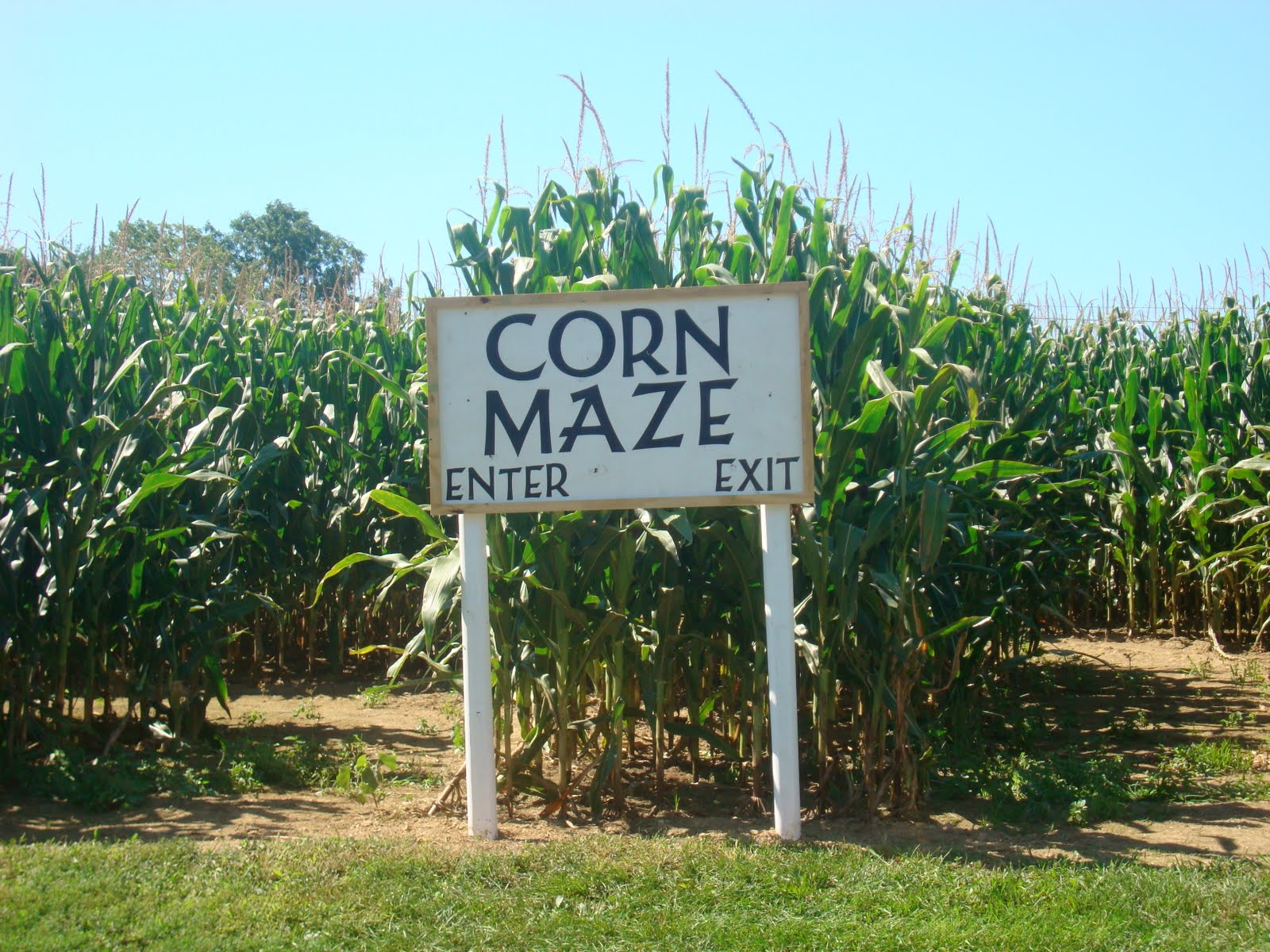 Klein Farms Dairy and Creamery