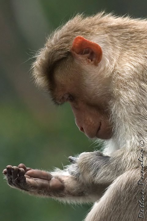 Dethan Punalur: September 2010