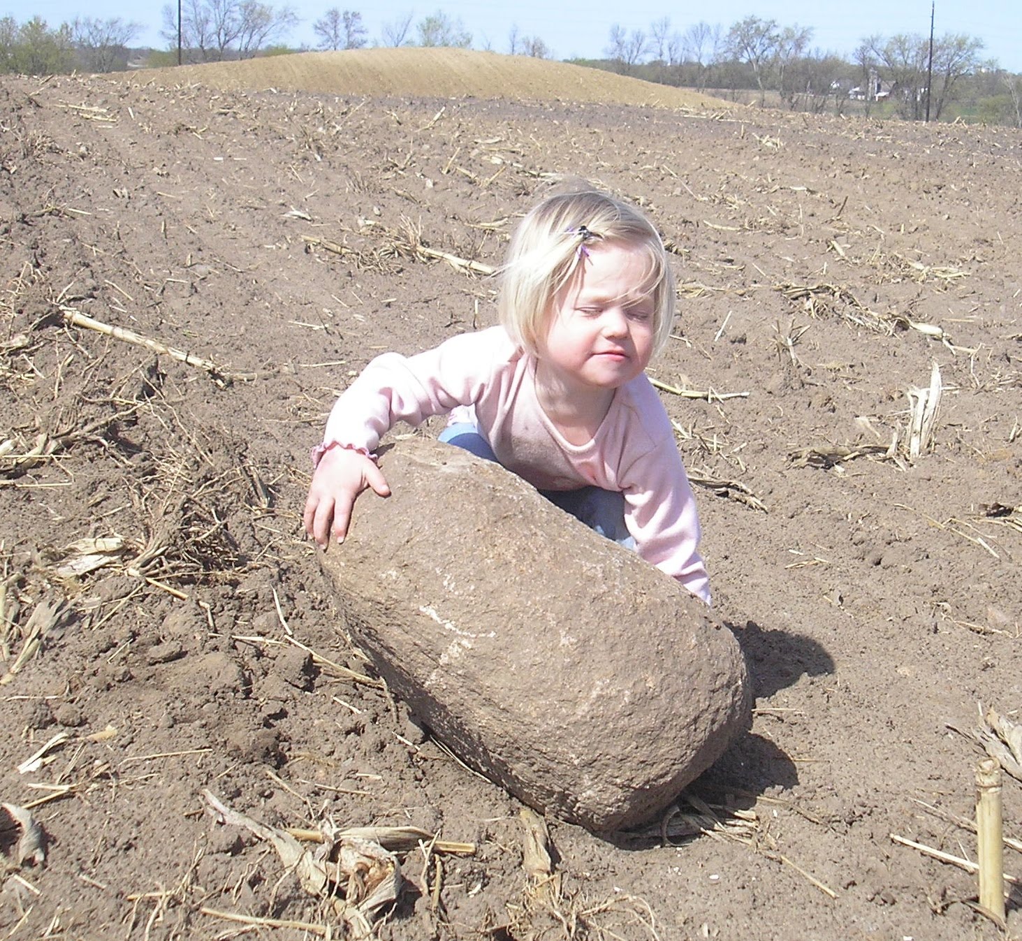 Stang Family of Five: A Great Day Out On The Farm!!!!
