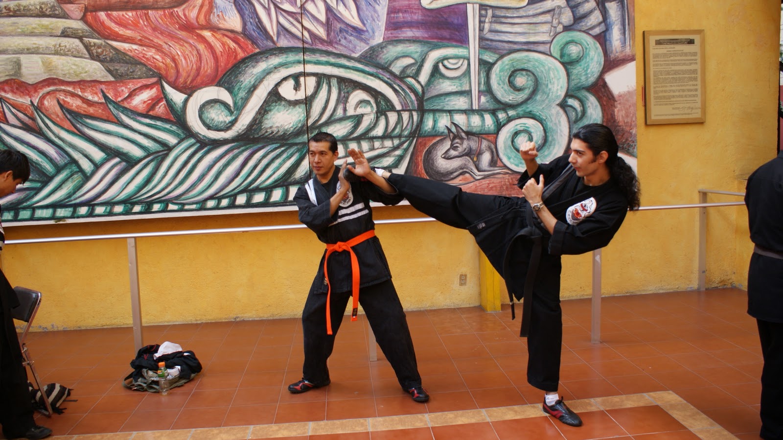 Organizacion Leon Dorado Lima-Lama