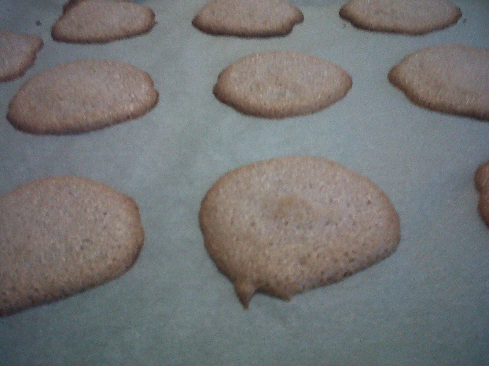 Gourmet Inspired Food Blog: Flat Macarons again