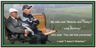 FUN TO BE BAD: Old Geezer Jokes for Brian