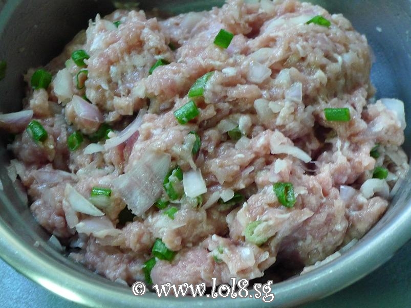 Life Of Lopsided 8: Minced Pork Patties