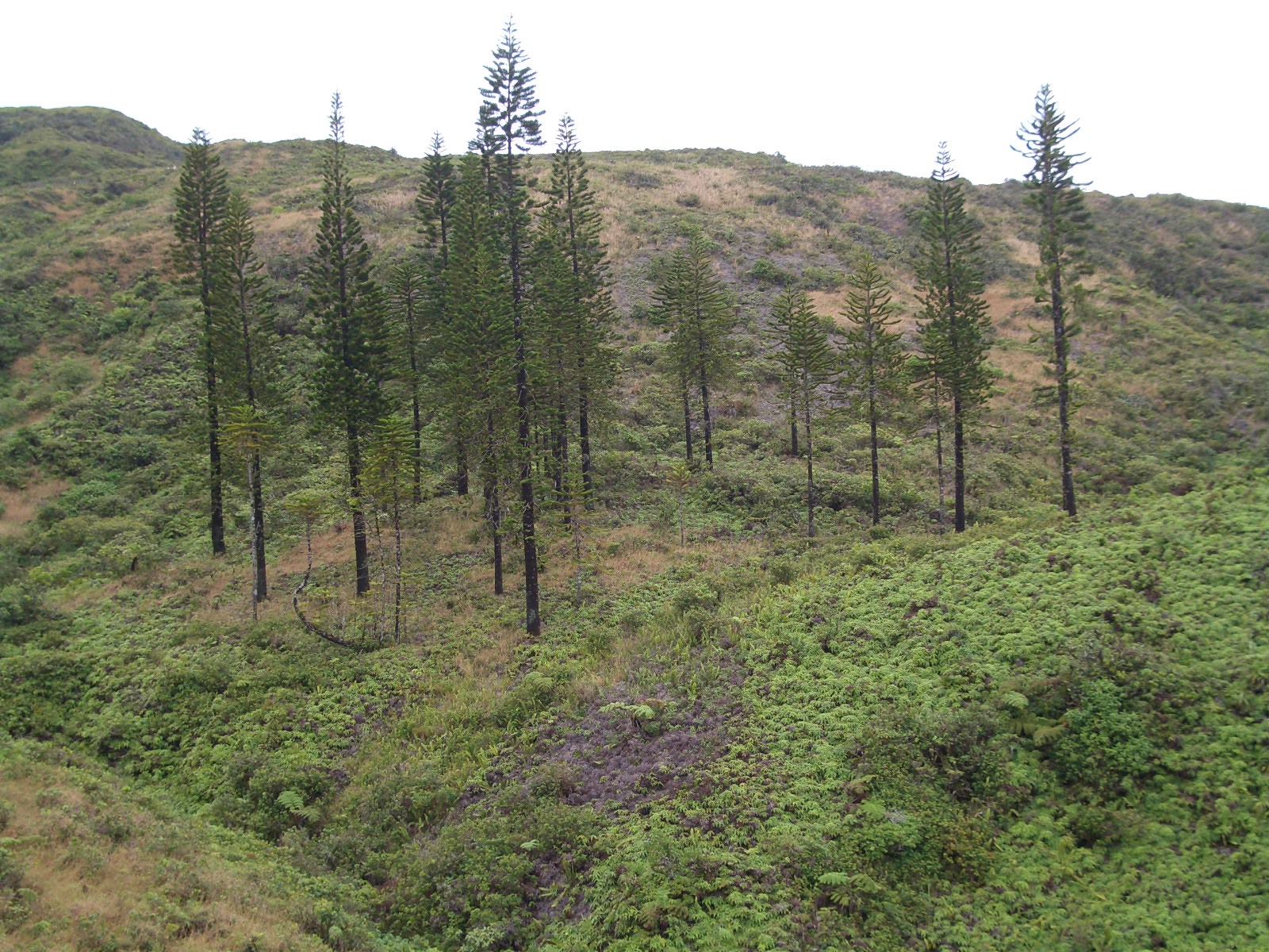 Married With Bikes: Hawaii Day 2: A Hydrologist's Dream Vacation
