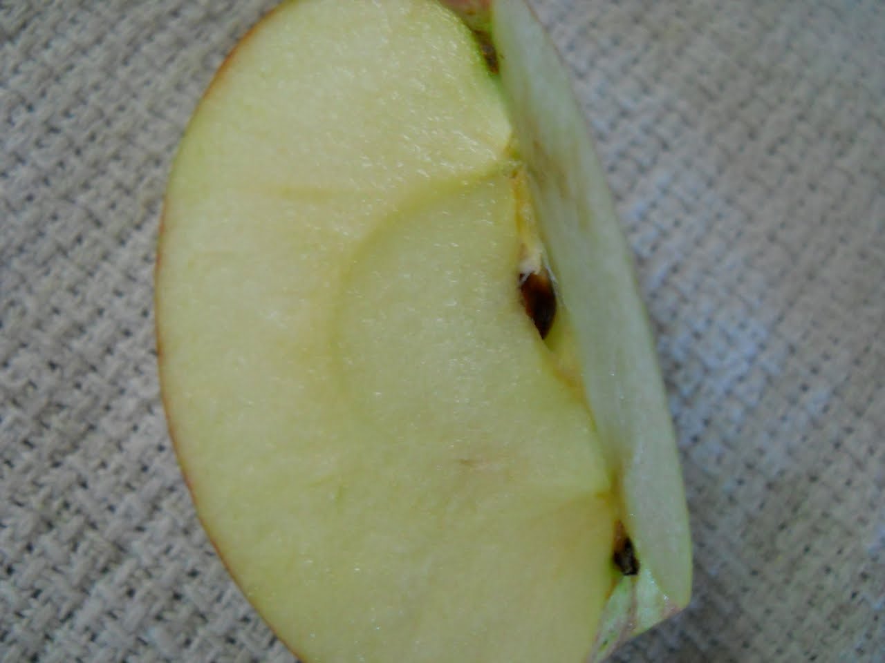 Canoe Corner: How to tell if an Apple is Ripe