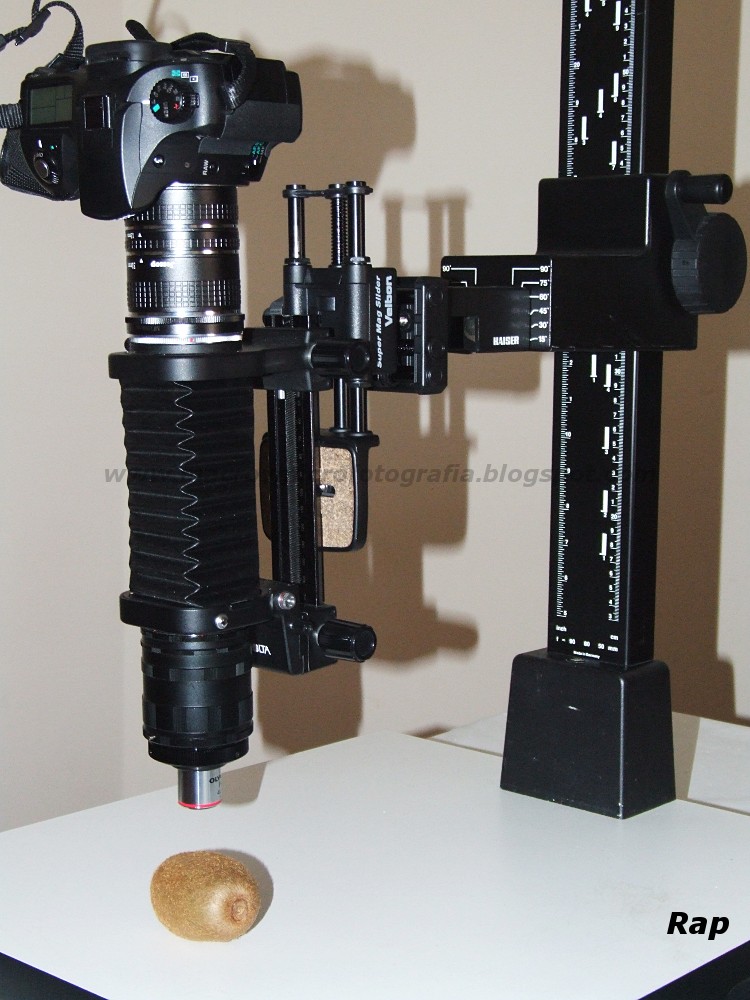 Macro y microfotografia: Microfotografía con fuelle y objetivo de ...