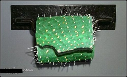 My Funny: Weird Toilet Papers | Pictures