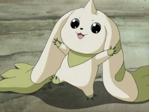 Brandon Paranoia: Momantai